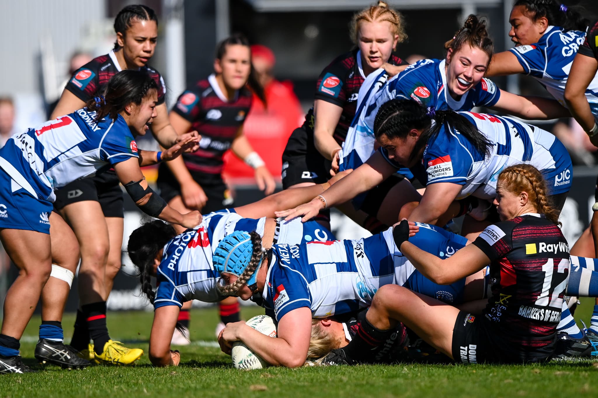 High Performance | Auckland RFU