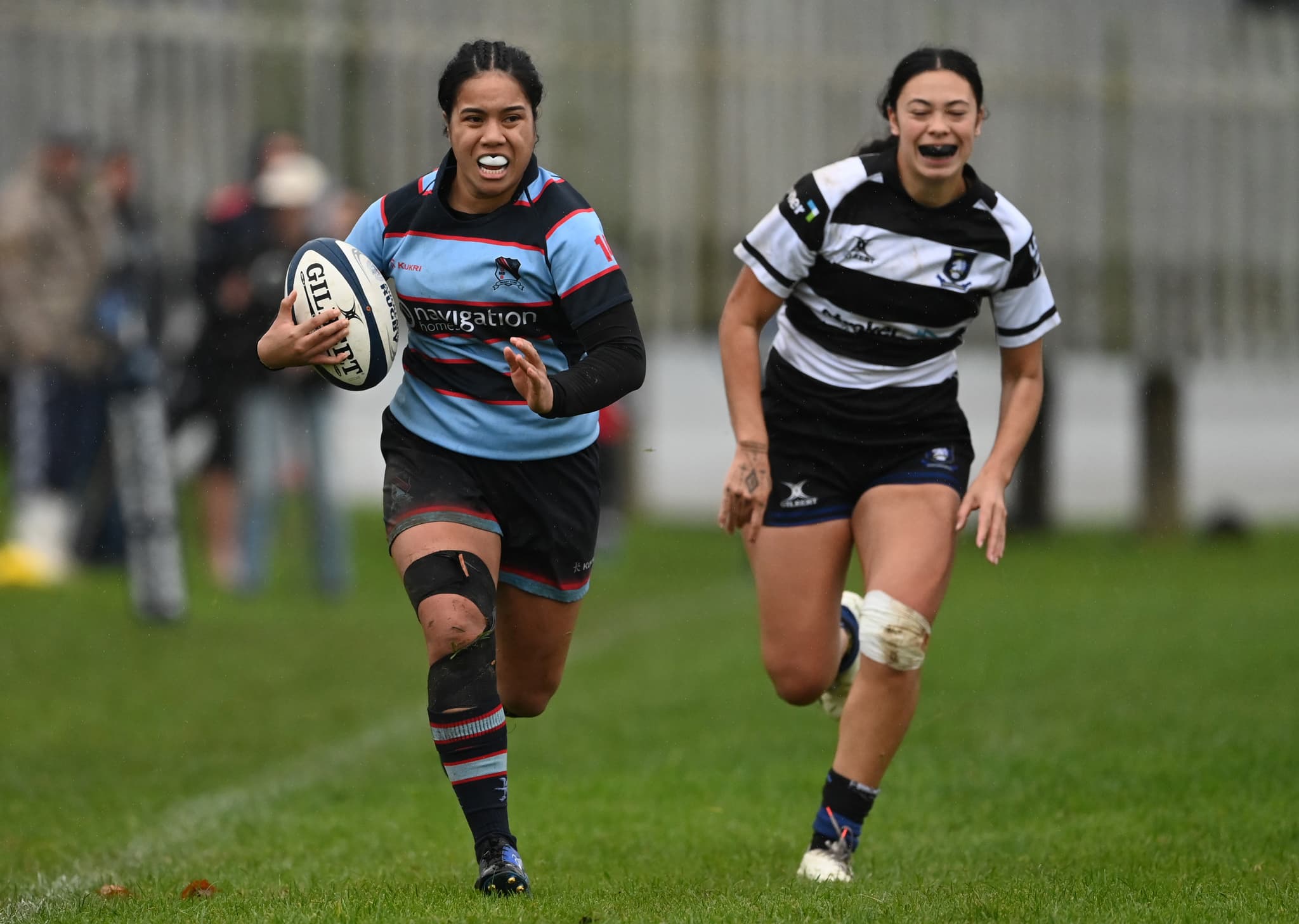 Fixtures & Results | Auckland RFU