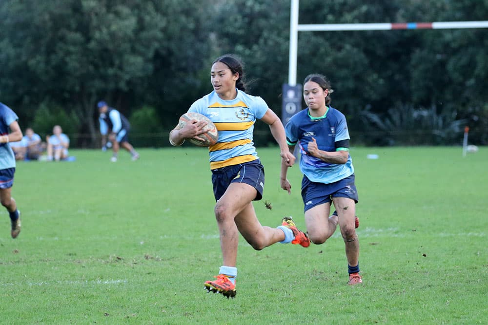 Fixtures & Results | Auckland RFU